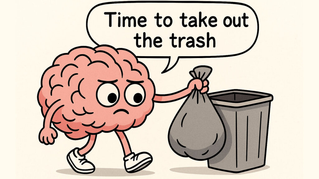 How the Brain Takes Out the Trash: A New Frontier in Fighting Cognitive ...